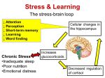 Anxiety and Brain | direct